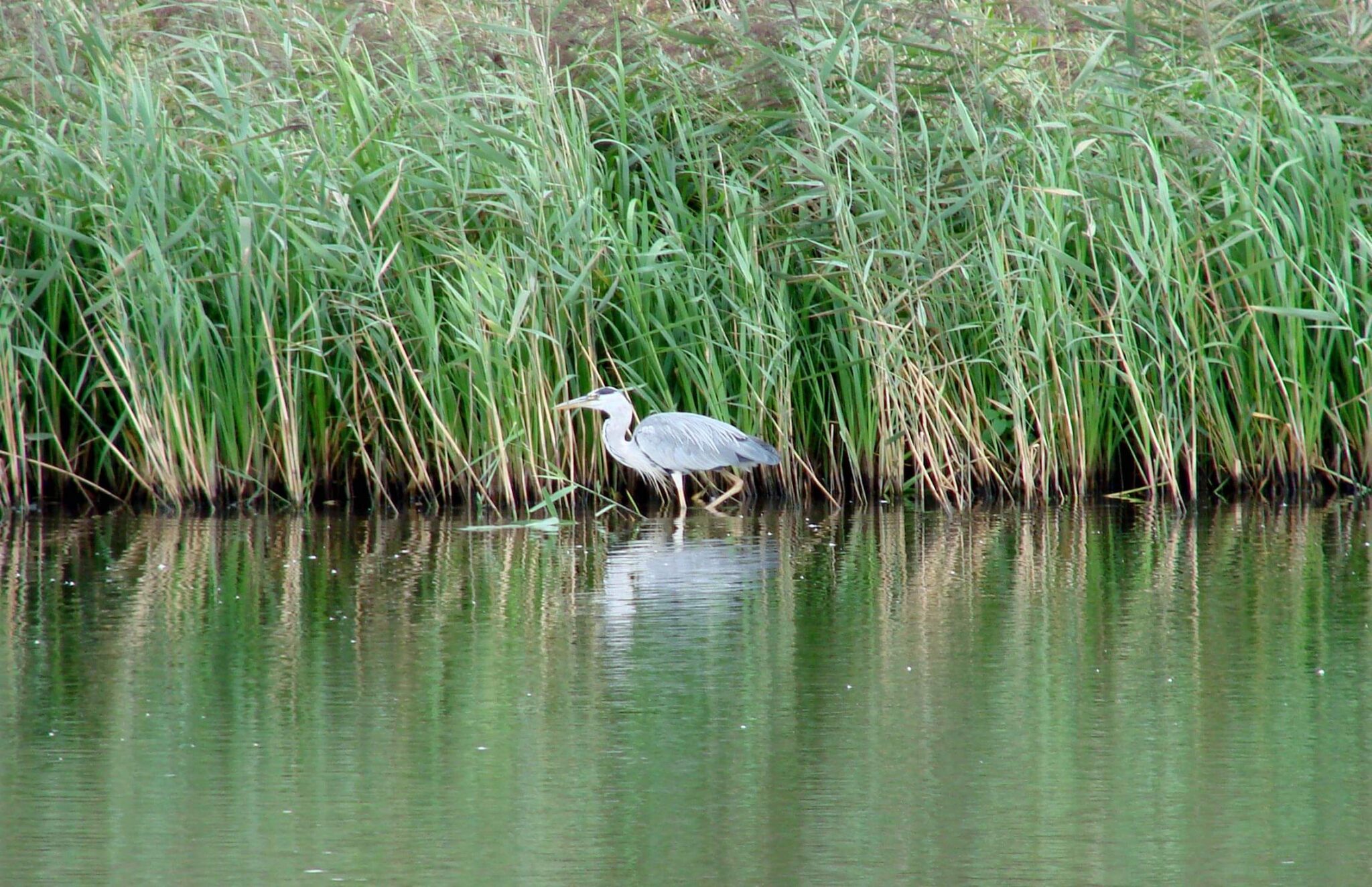 Gram Slot i Sønderjylland, nær Haderslev - besøg et af Jyllands slotte